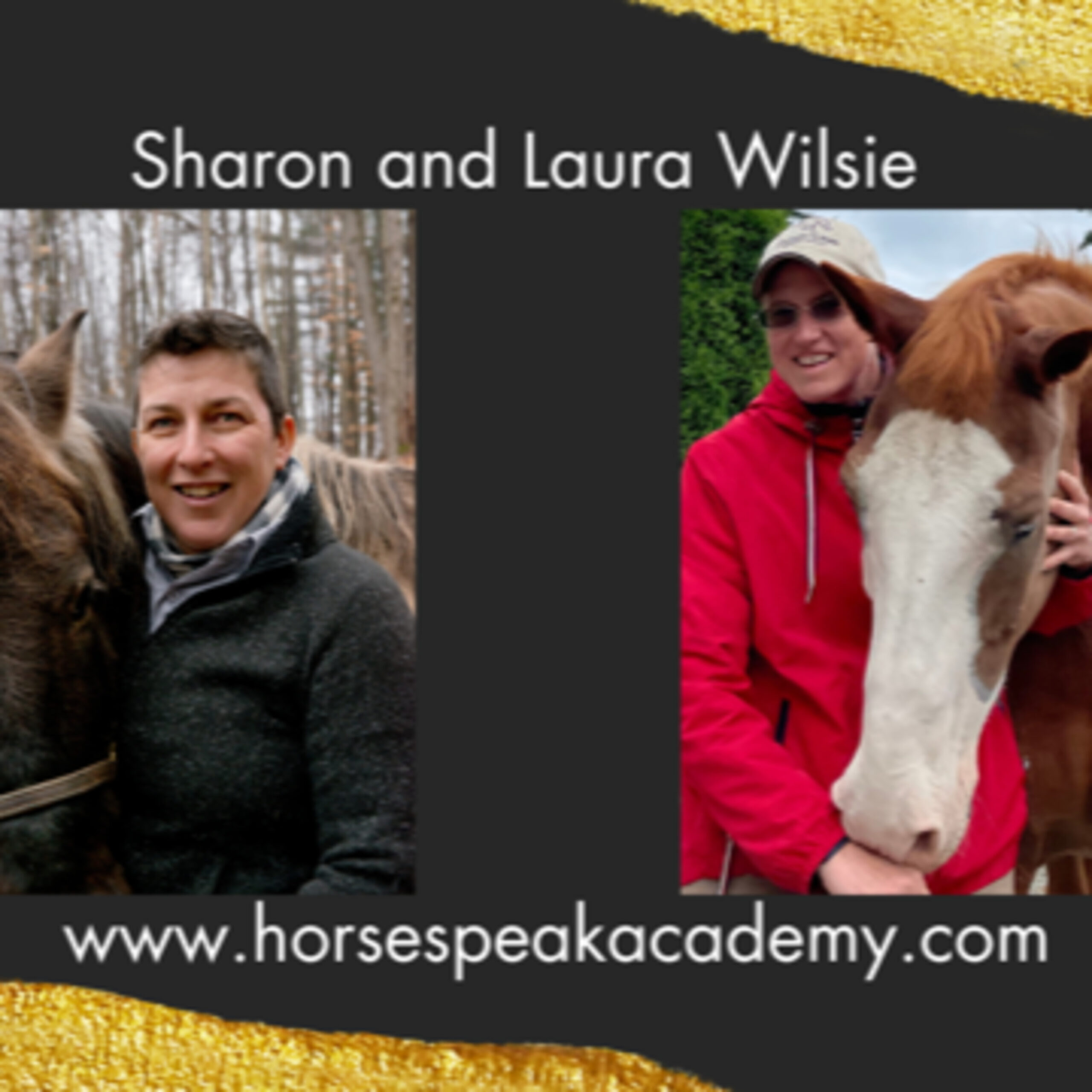 Sharon & Laura Wilsie: Horsespeak – so funktioniert´s! – Kistner Medien